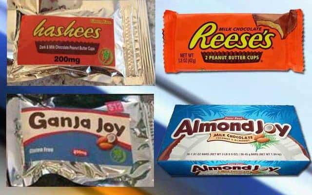 Halloween’s Latest Urban Legend: Pot Candy - The Social Weed