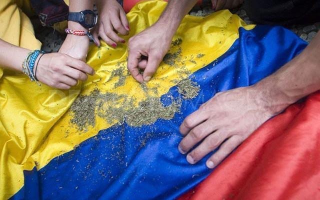 Colombia Just Legalized Medical Marijuana! - The Social Weed