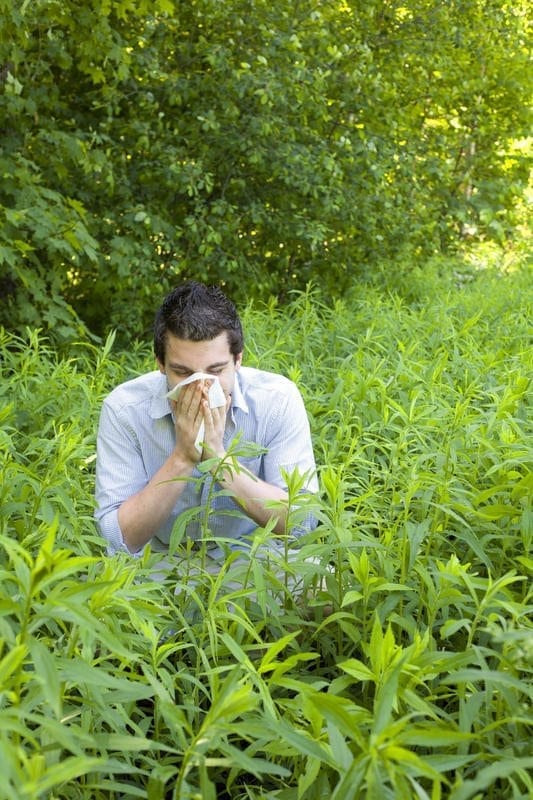 Can You Be Allergic To Weed? - The Social Weed