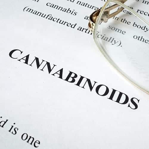 Uses and Benefits of Cannabinoids - The Social Weed