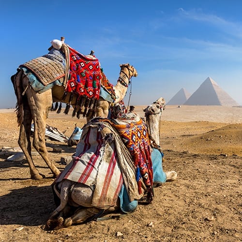 Ancient Egypt: Cannabis Culture Through the Ages - The Social Weed