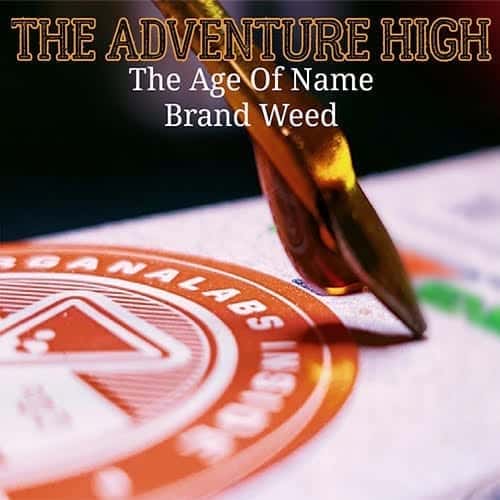 The Adventure High The Age of Brand Name - The Social Weed