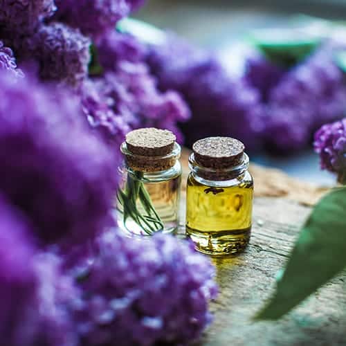 Best Essential Oils for Face and Body - The Social Weed